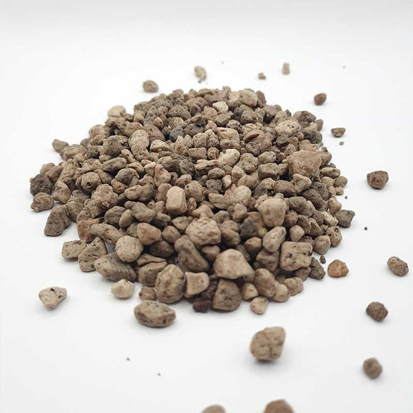Puimsteen korrels 3 - 8 mm (bims) voor je planten - Drakenbloedboom